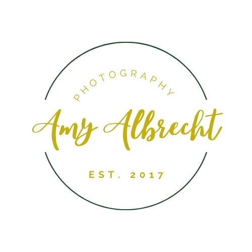 AA Photography Logo – Amy Albrecht Photography